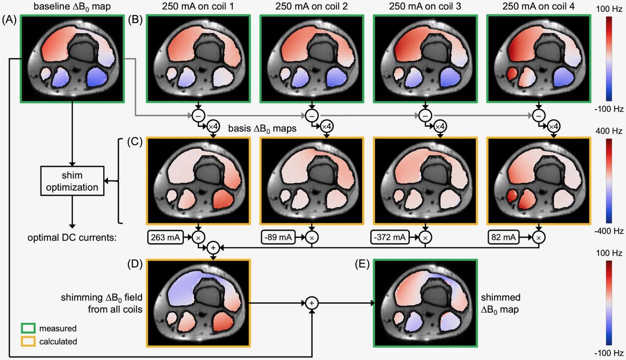 Home | The Brain Imaging and Analysis Center