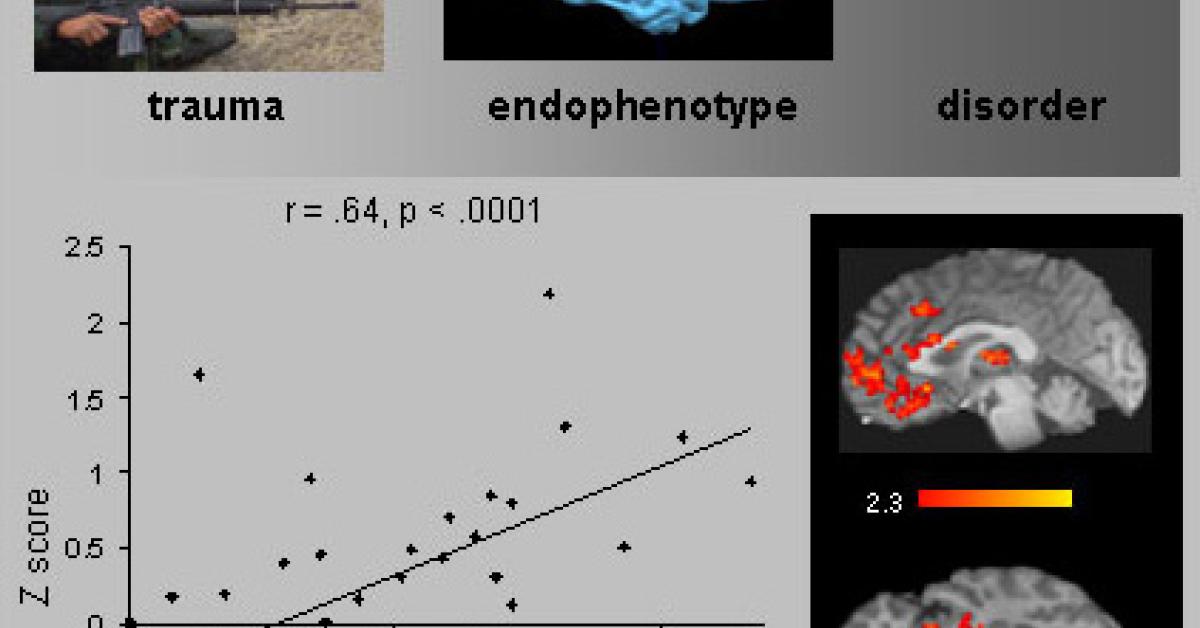 Cognitive and Affective Processing in PTSD | The Brain Imaging and ...